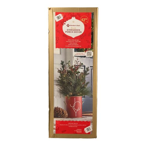 Member's Mark | Holiday | Members Mark 5 Warm White Led Prelit Battery ...